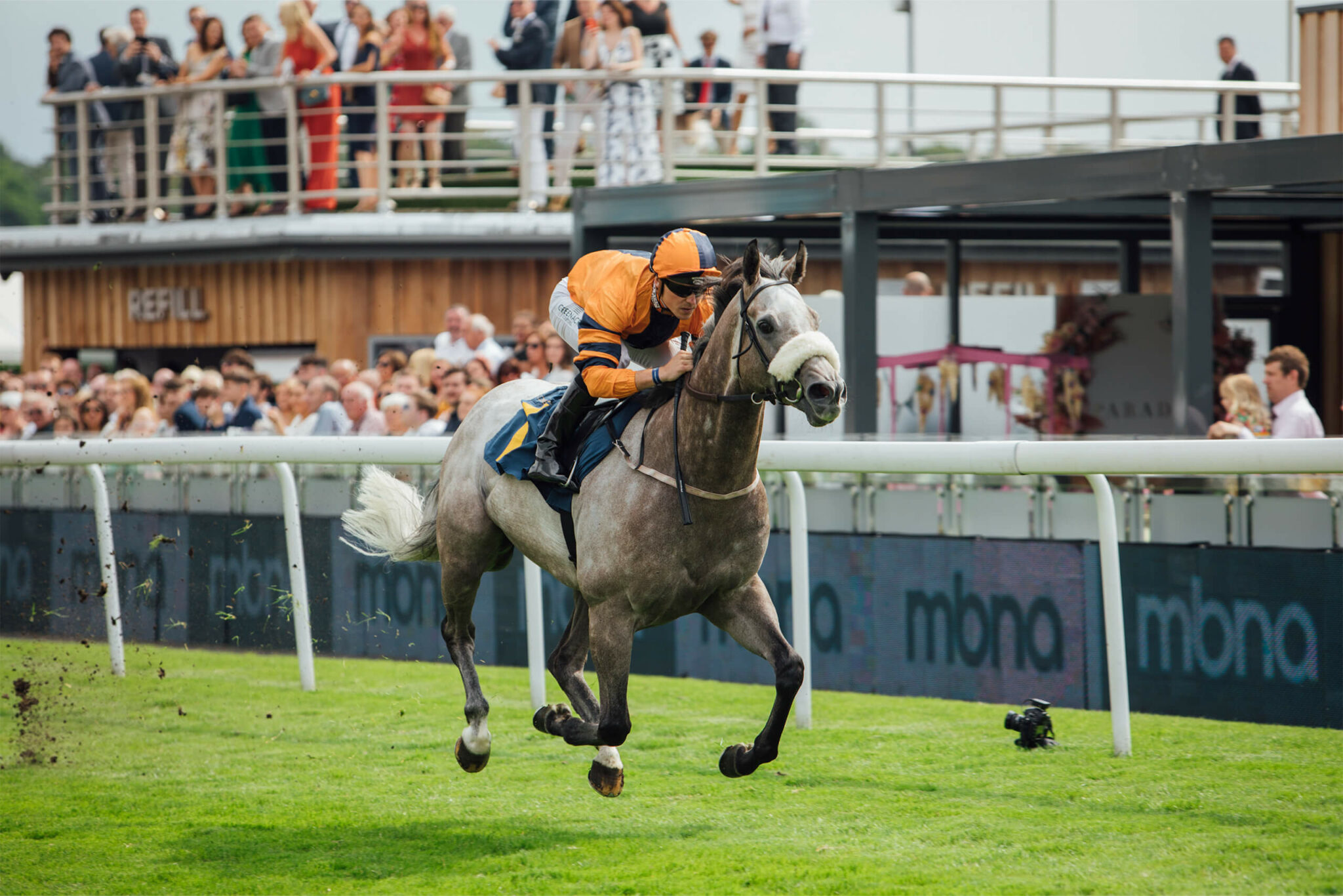 Case Study: Chester Races - Social & Digital Case Study - Zut